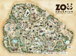 Entradas Zoo Madrid 2x1 > Precio 2025, Descuentos, Ofertas