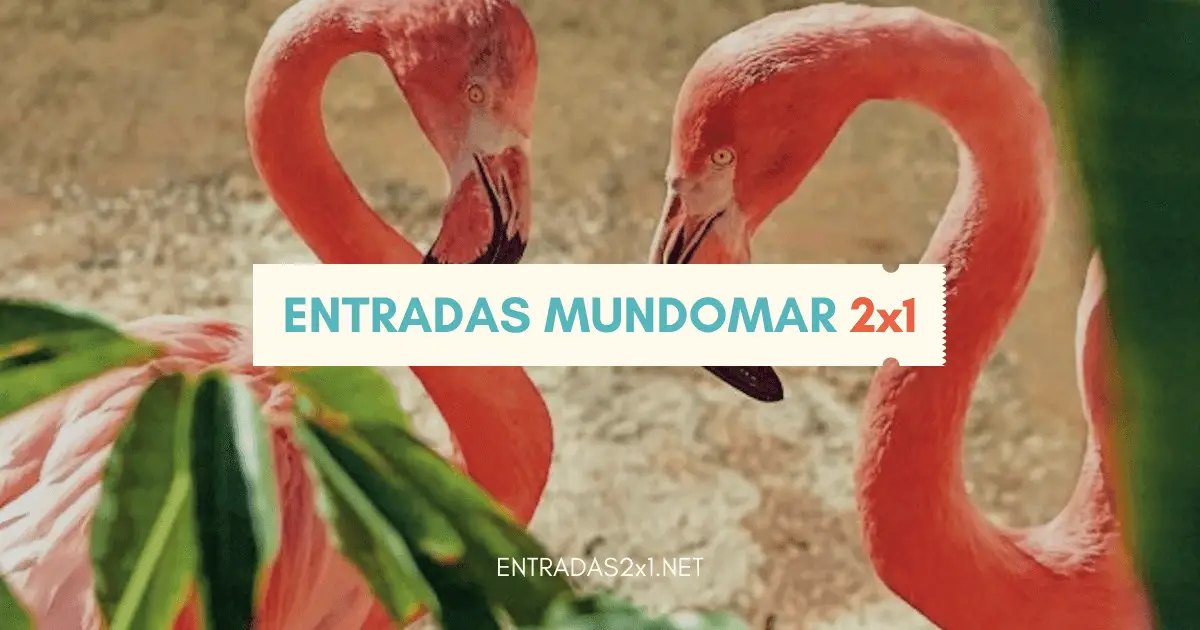 Entradas Mundomar 2x1 Benidorm > Precio 2025, Descuentos, Ofertas
